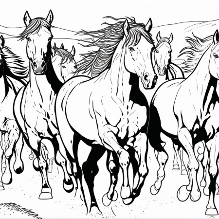 Omalovánky Koně zdarma k vytisknutí a stažení