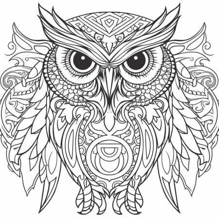 sova 24 - Omalovánky k vytisknutí zdarma