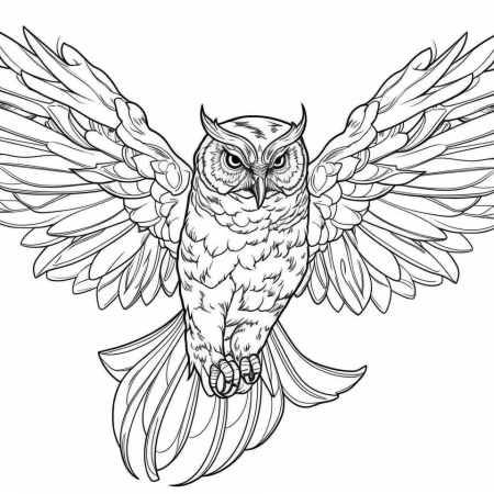 sova 28 - Omalovánky k vytisknutí zdarma