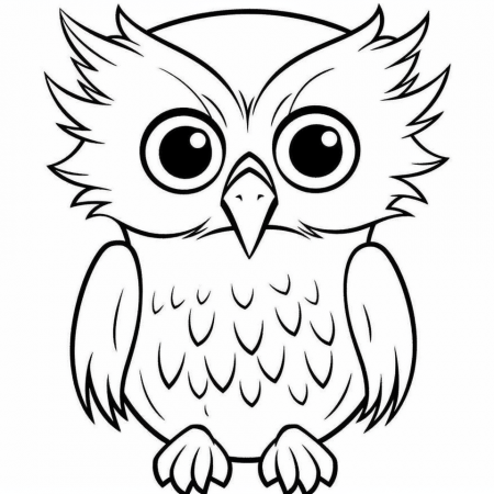 sova 24 - Omalovánky k vytisknutí zdarma