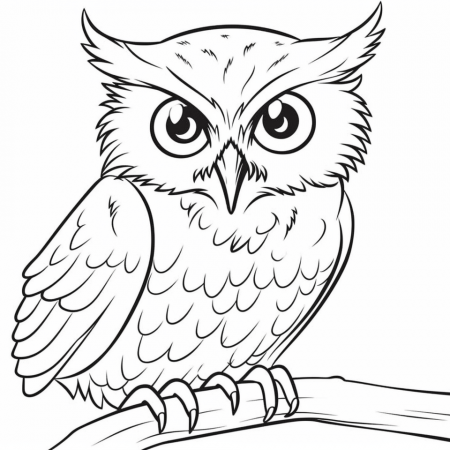 sova 24 - Omalovánky k vytisknutí zdarma